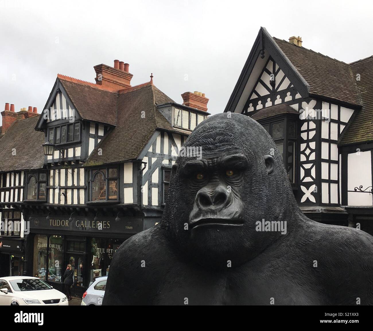 Gorilla on Wyle Cop in Shrewsbury Stock Photo - Alamy