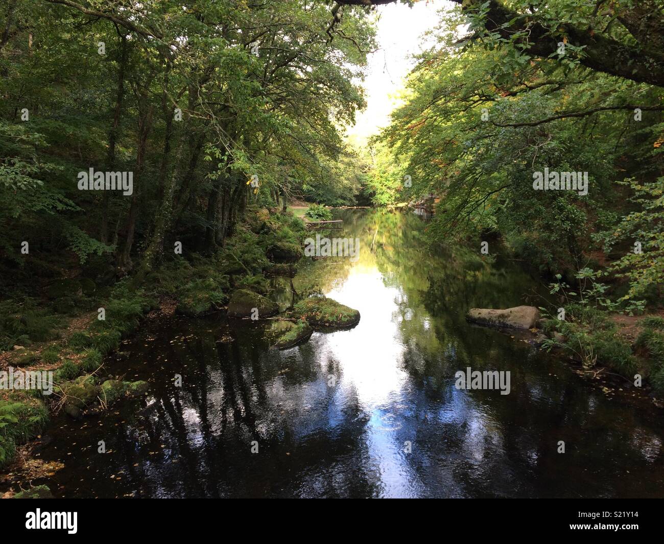 Woodland River reflections Stock Photo - Alamy