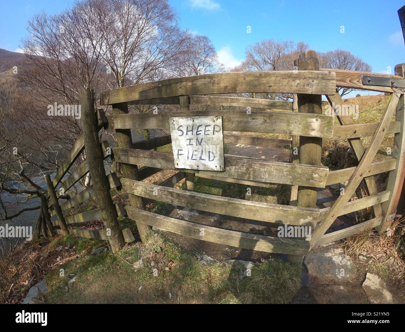 Sheep in the field sign Stock Photo - Alamy