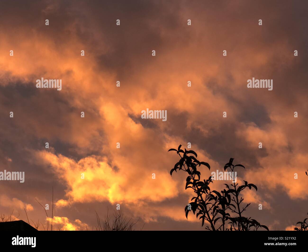 Sunset sky on fire Stock Photo - Alamy