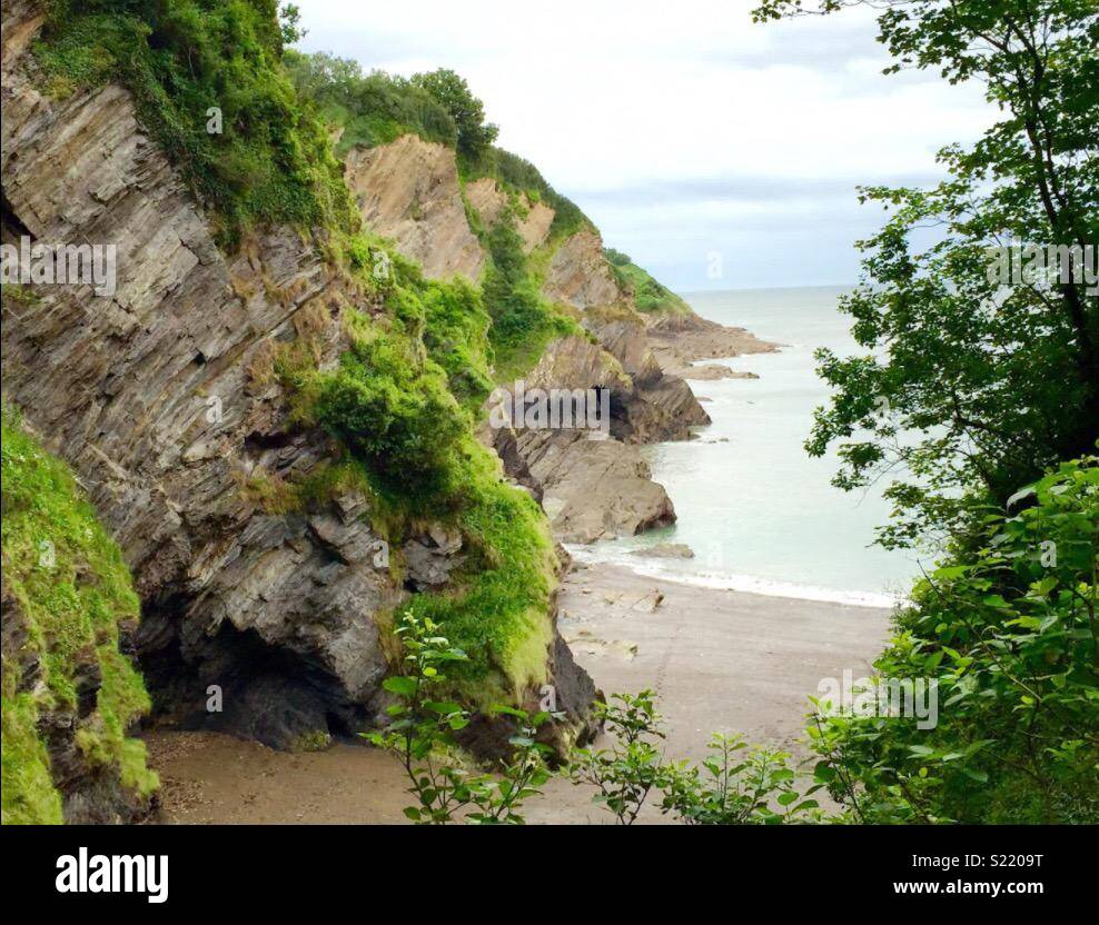 Grass moss rocks hi-res stock photography and images - Alamy