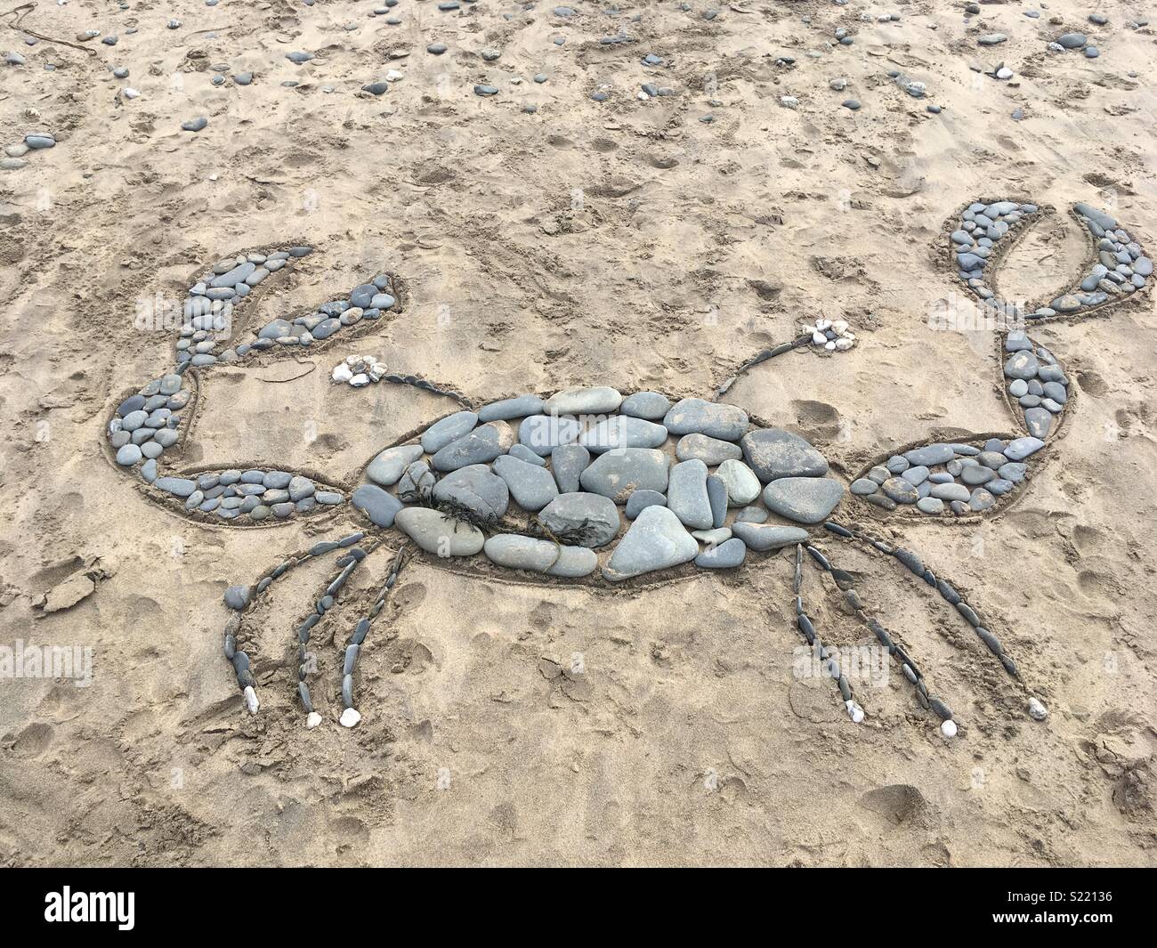 Stone crab hi-res stock photography and images - Alamy
