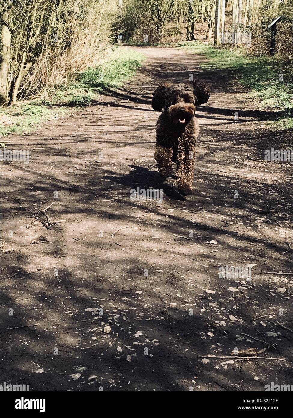 Morag Stock Photos & Morag Stock Images - Alamy