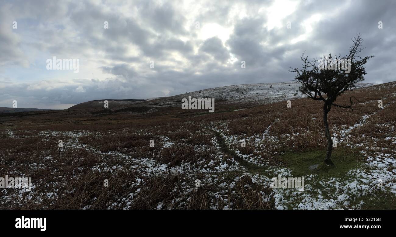 Moorland scene hi-res stock photography and images - Alamy