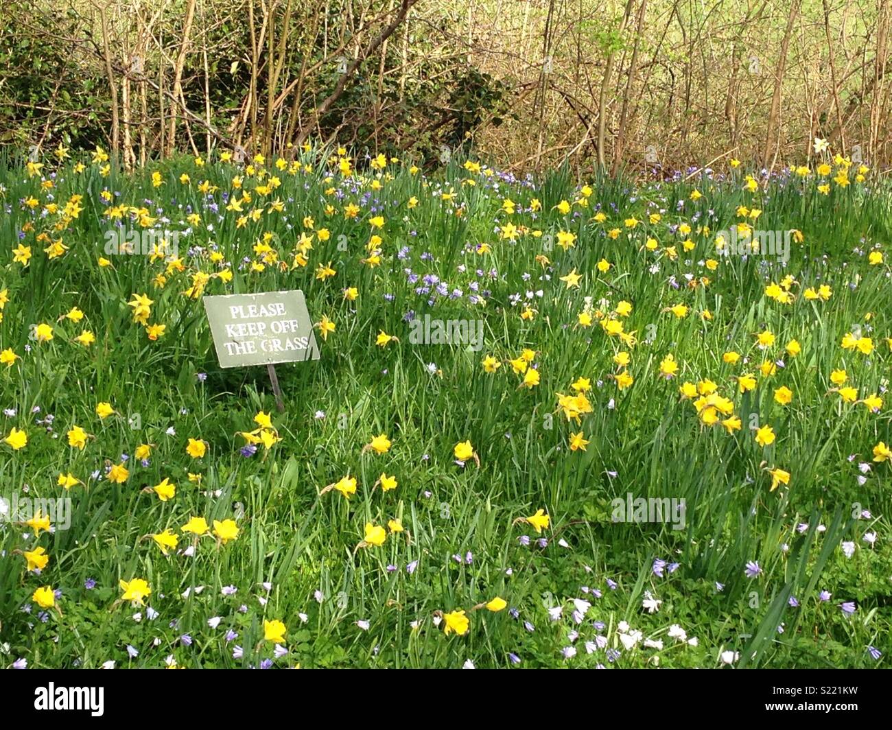 Please keep off the grass Stock Photo - Alamy