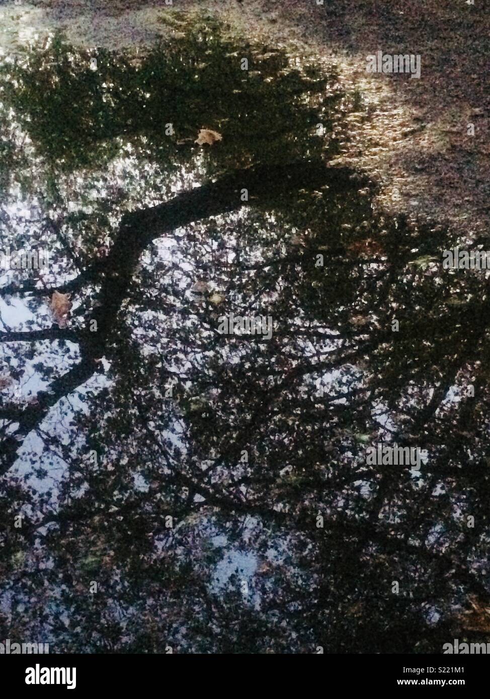 Puddle of water hi-res stock photography and images - Alamy