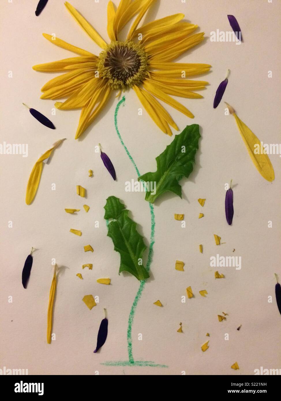 Deconstructed hi-res stock photography and images - Alamy