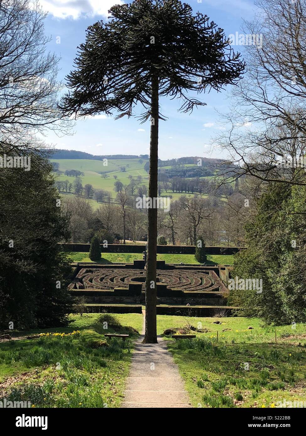 A labyrinth hi-res stock photography and images - Alamy