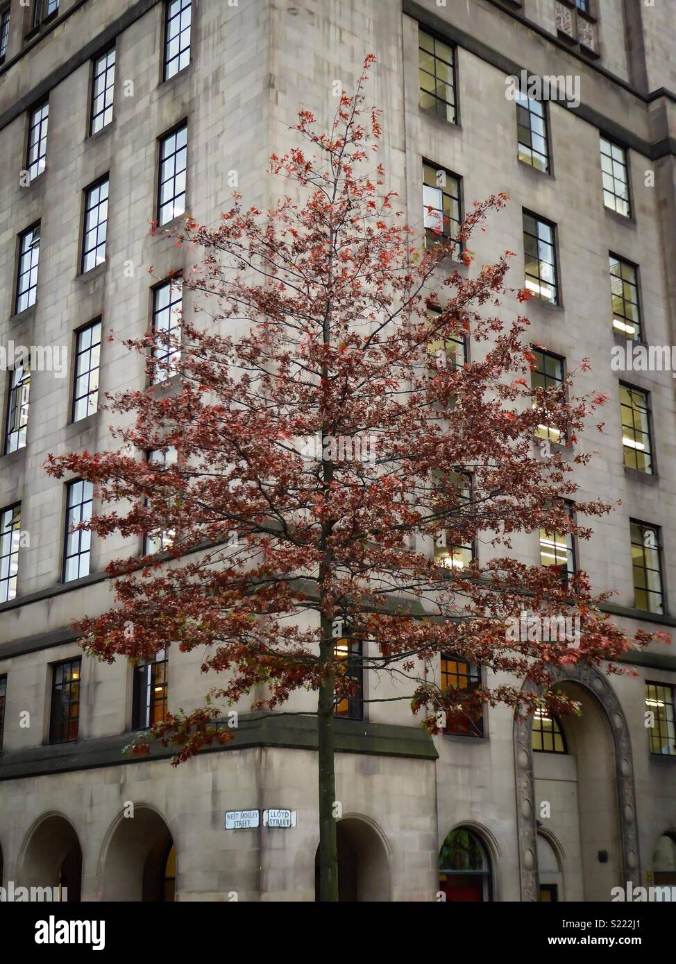 Fall in manchester hi-res stock photography and images - Alamy