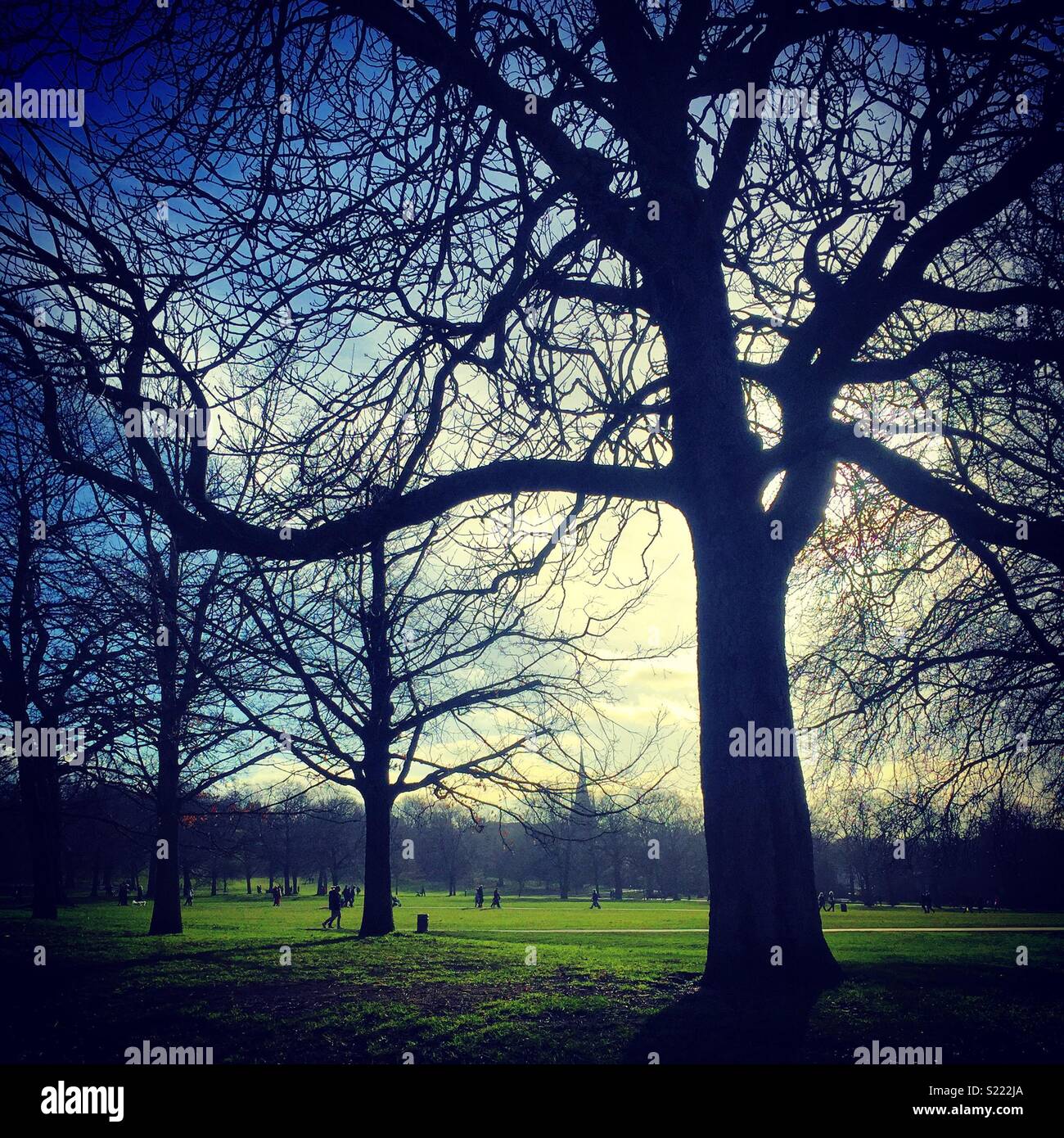 London park lined with trees at dusk Stock Photo - Alamy