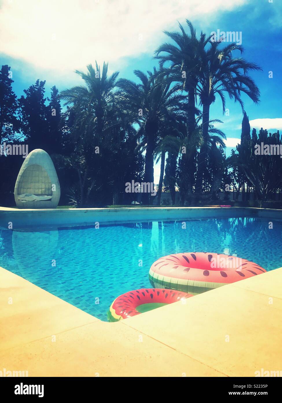 Valencia melon hi-res stock photography and images - Alamy