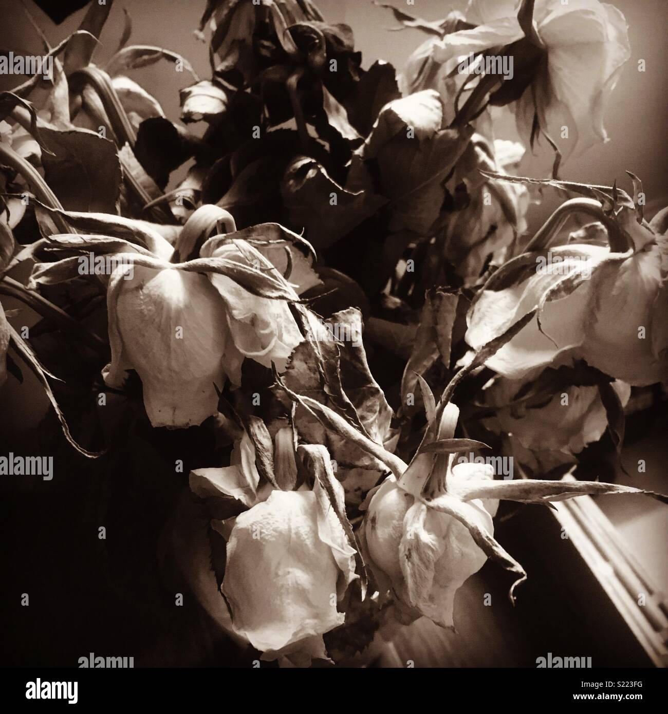 Relationship breakdown hi-res stock photography and images - Alamy