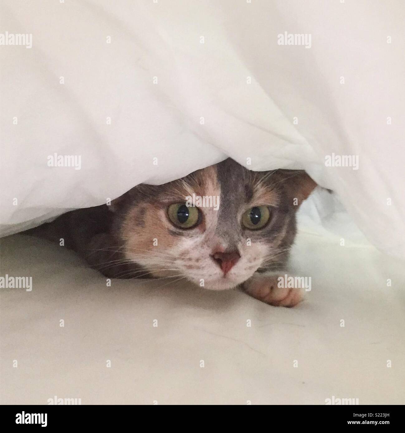 Under covers hi-res stock photography and images - Alamy