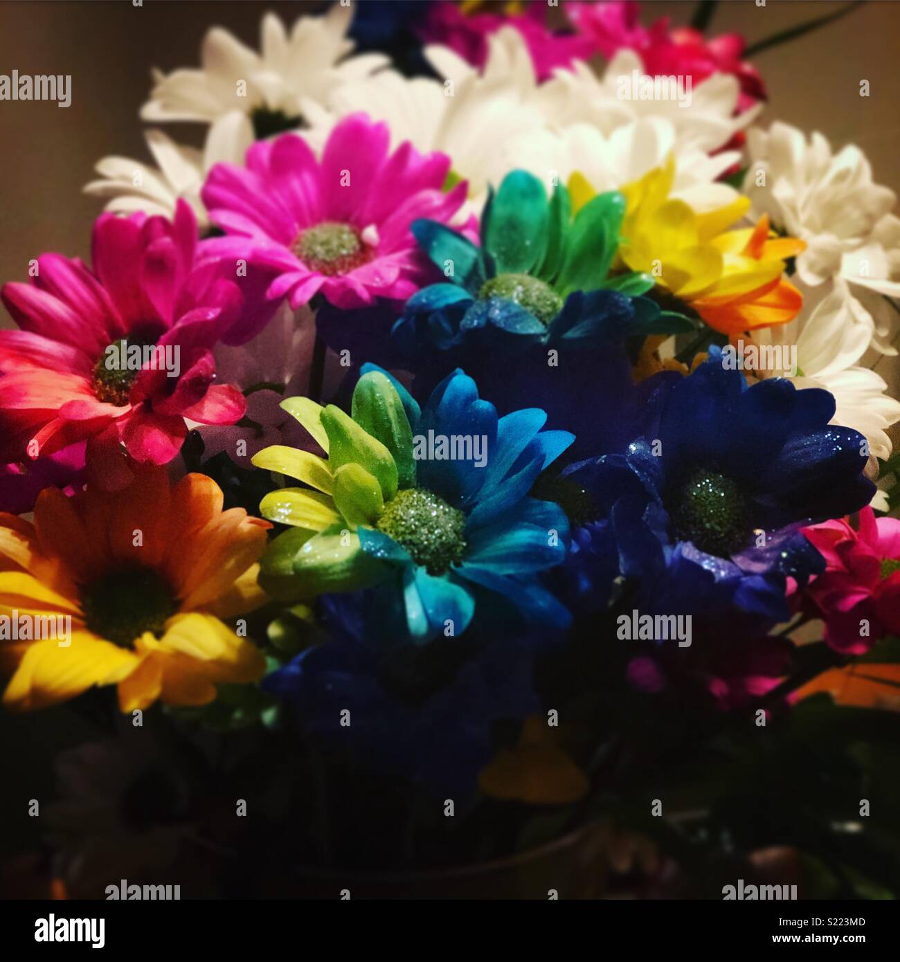 Friday flowers hi-res stock photography and images - Alamy