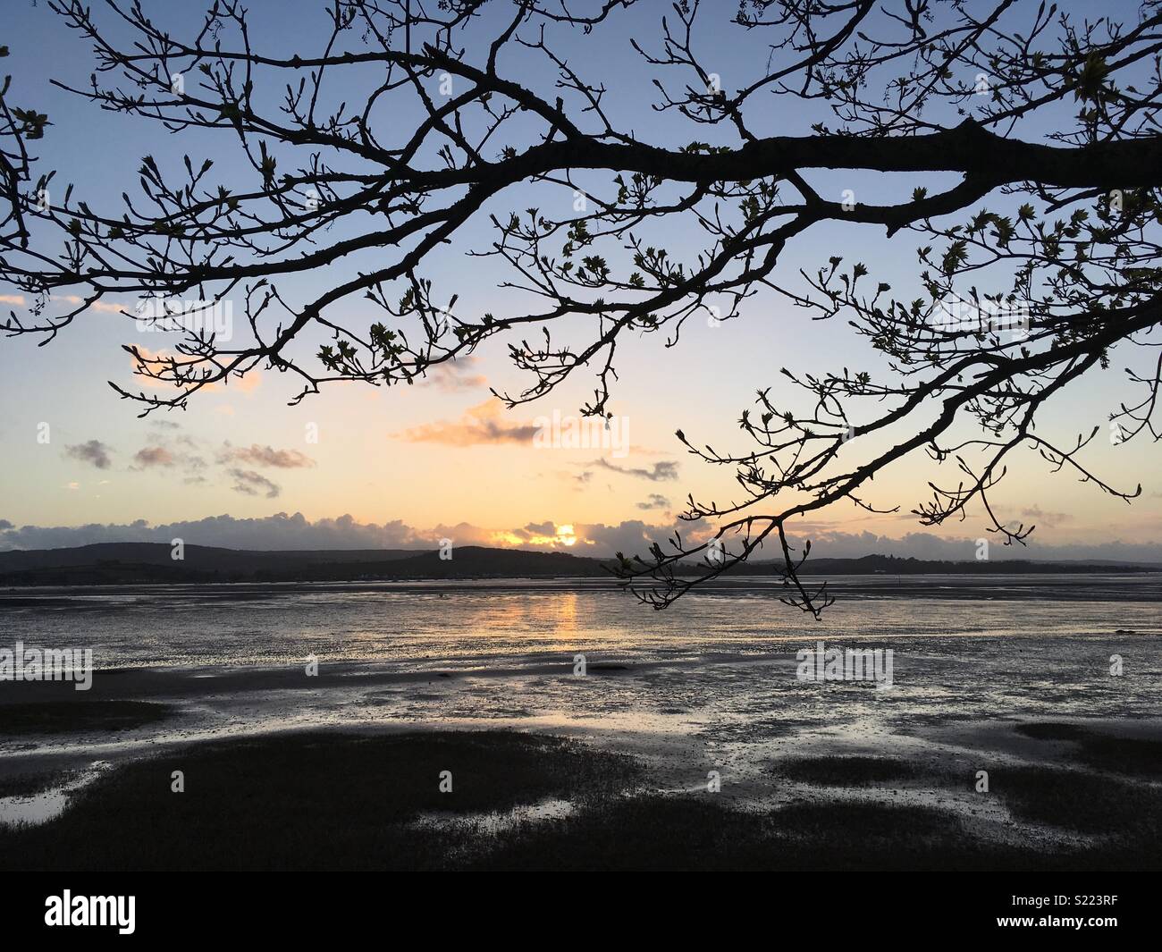 Hauntingly beautiful. Sunset at the Exe Estuary in Exmouth Devon 25/04 ...