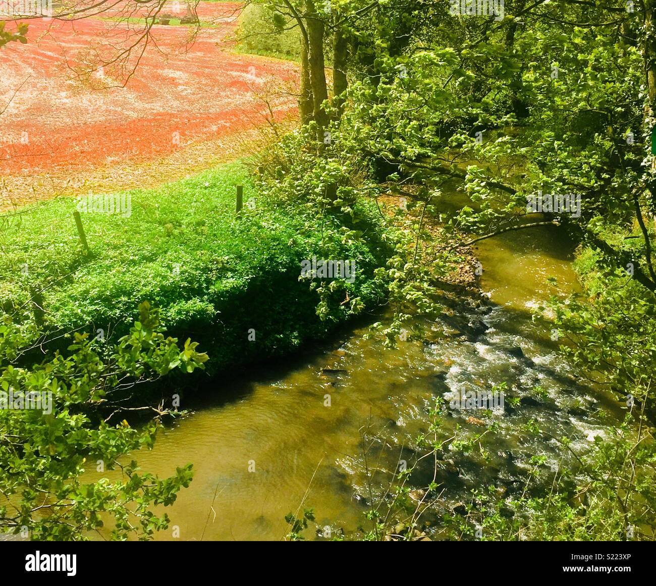 Field brook hi-res stock photography and images - Alamy