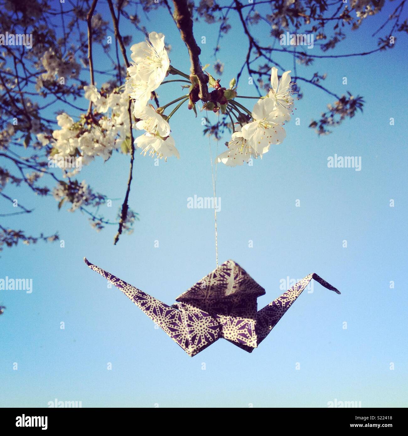 A paper origami bird hanging from a blossoming tree in spring Stock ...