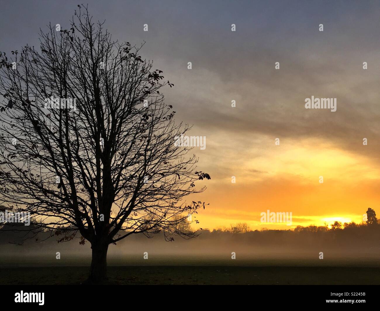 November sunset hi-res stock photography and images - Alamy