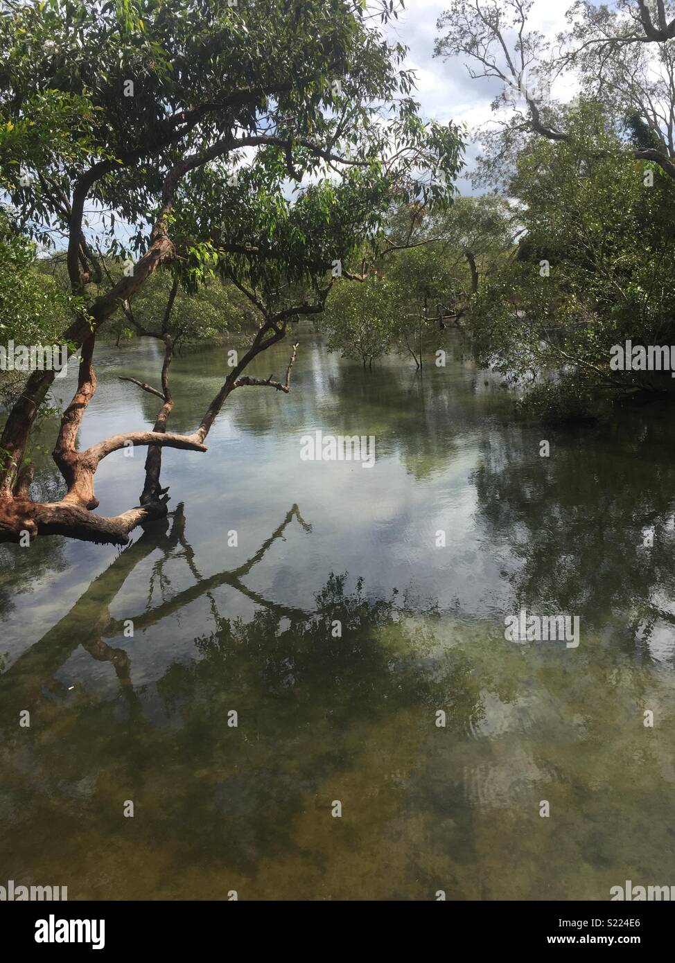 Australian spring water hi-res stock photography and images - Alamy