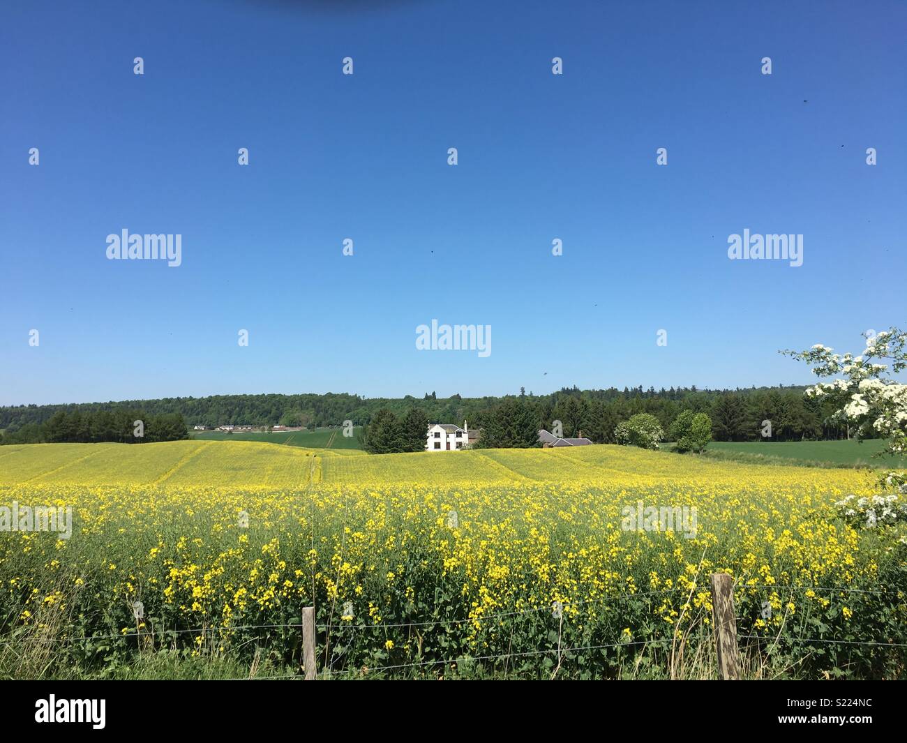 Lovely and nice hi-res stock photography and images - Alamy