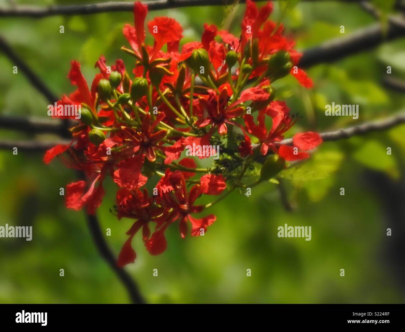 Nanhai hi-res stock photography and images - Alamy