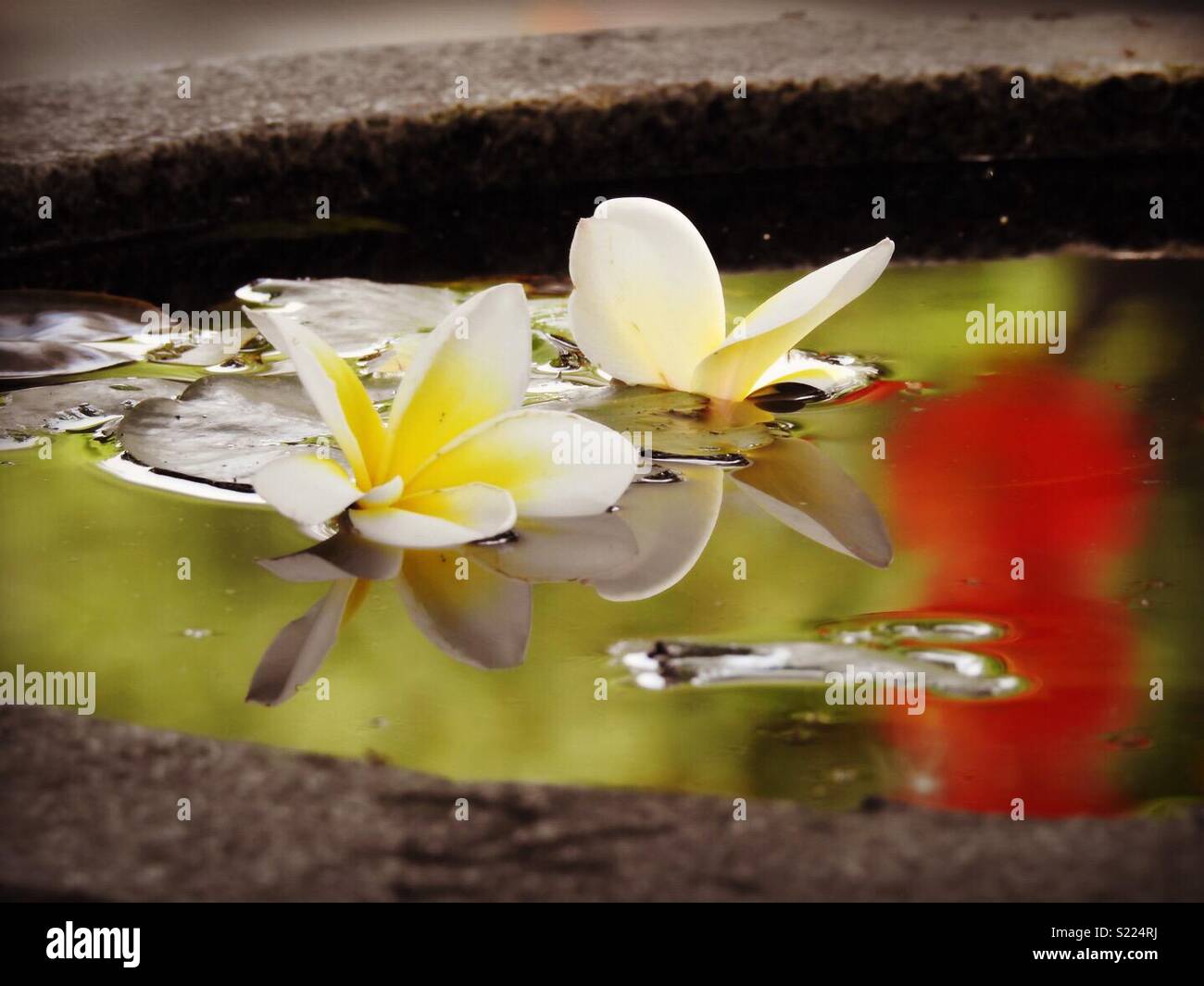 Nanhai hi-res stock photography and images - Alamy