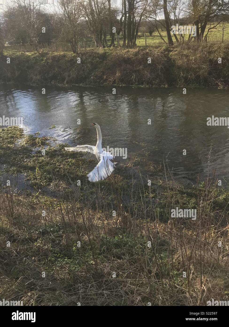 Cavenham heath hi-res stock photography and images - Alamy