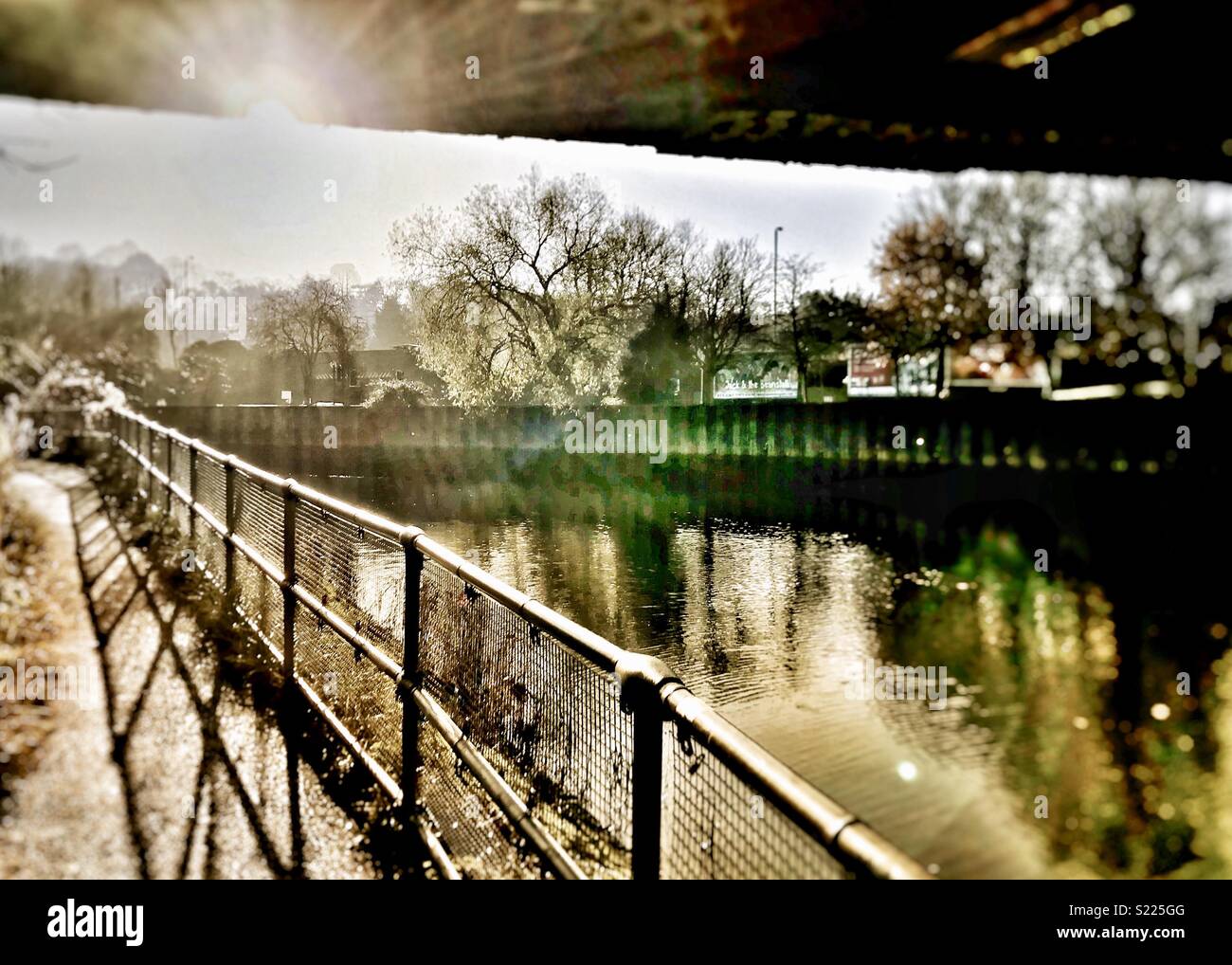 River path walk in town. Sunshine. Worlds away from the hustle and ...