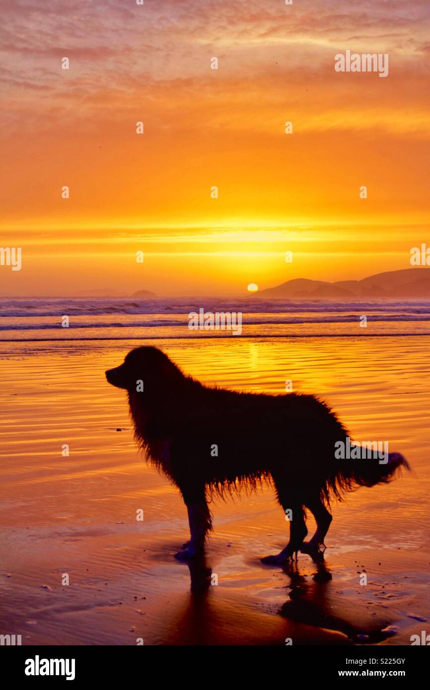 Pembrokeshire sunset hi-res stock photography and images - Alamy