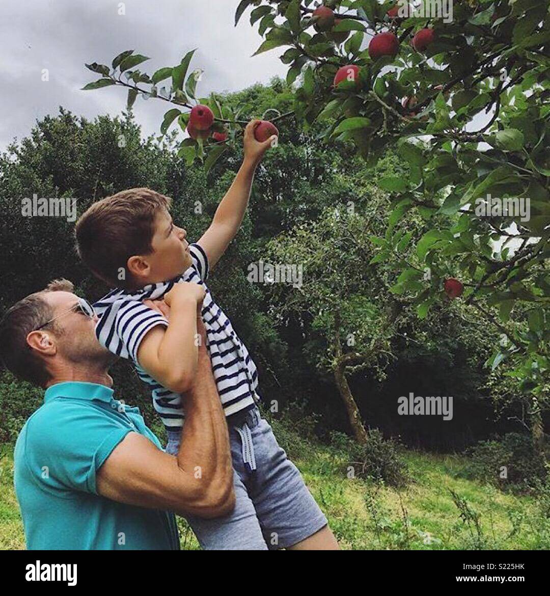 Dad and son hi-res stock photography and images - Alamy