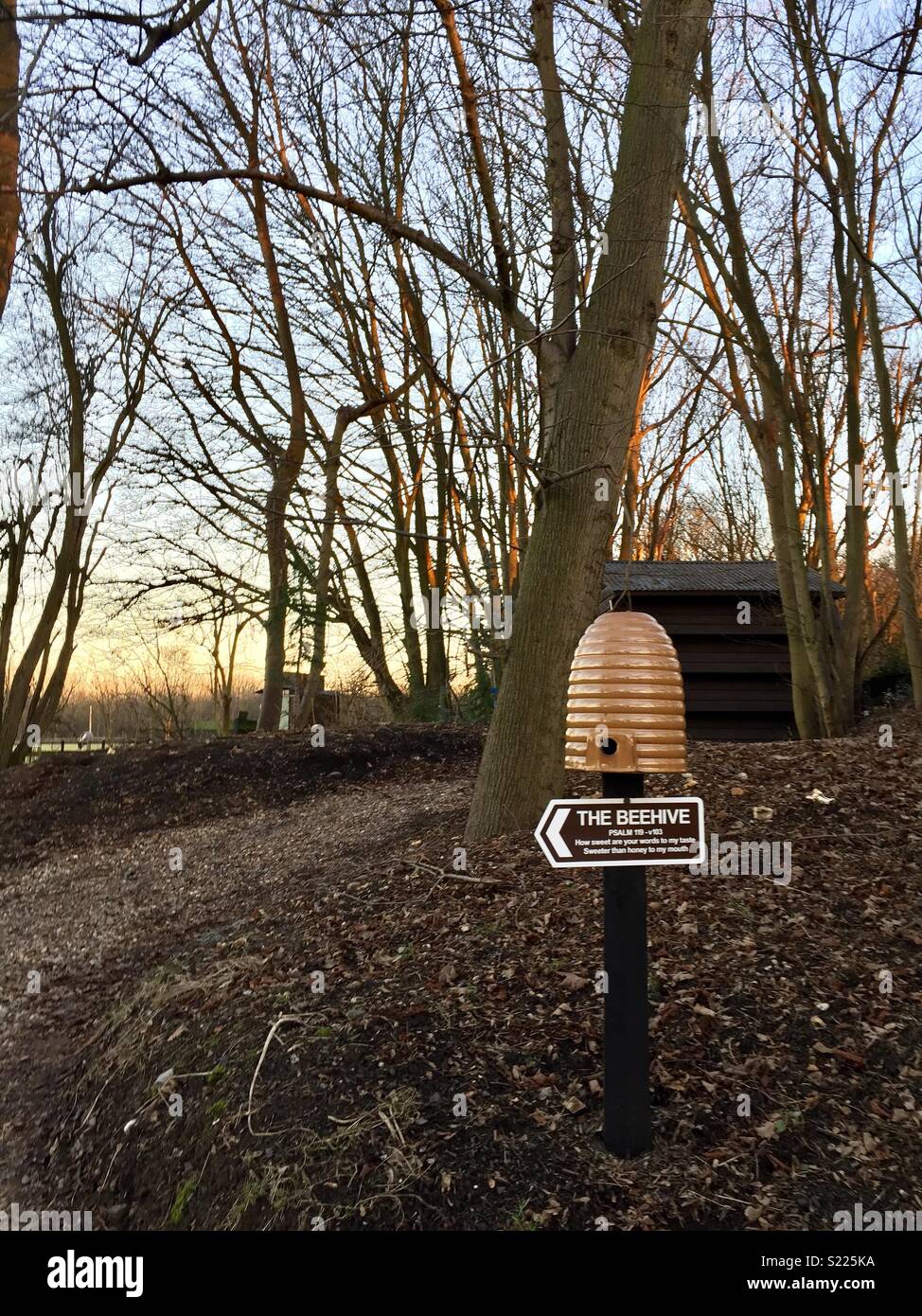 Glamping vibes hi-res stock photography and images - Alamy