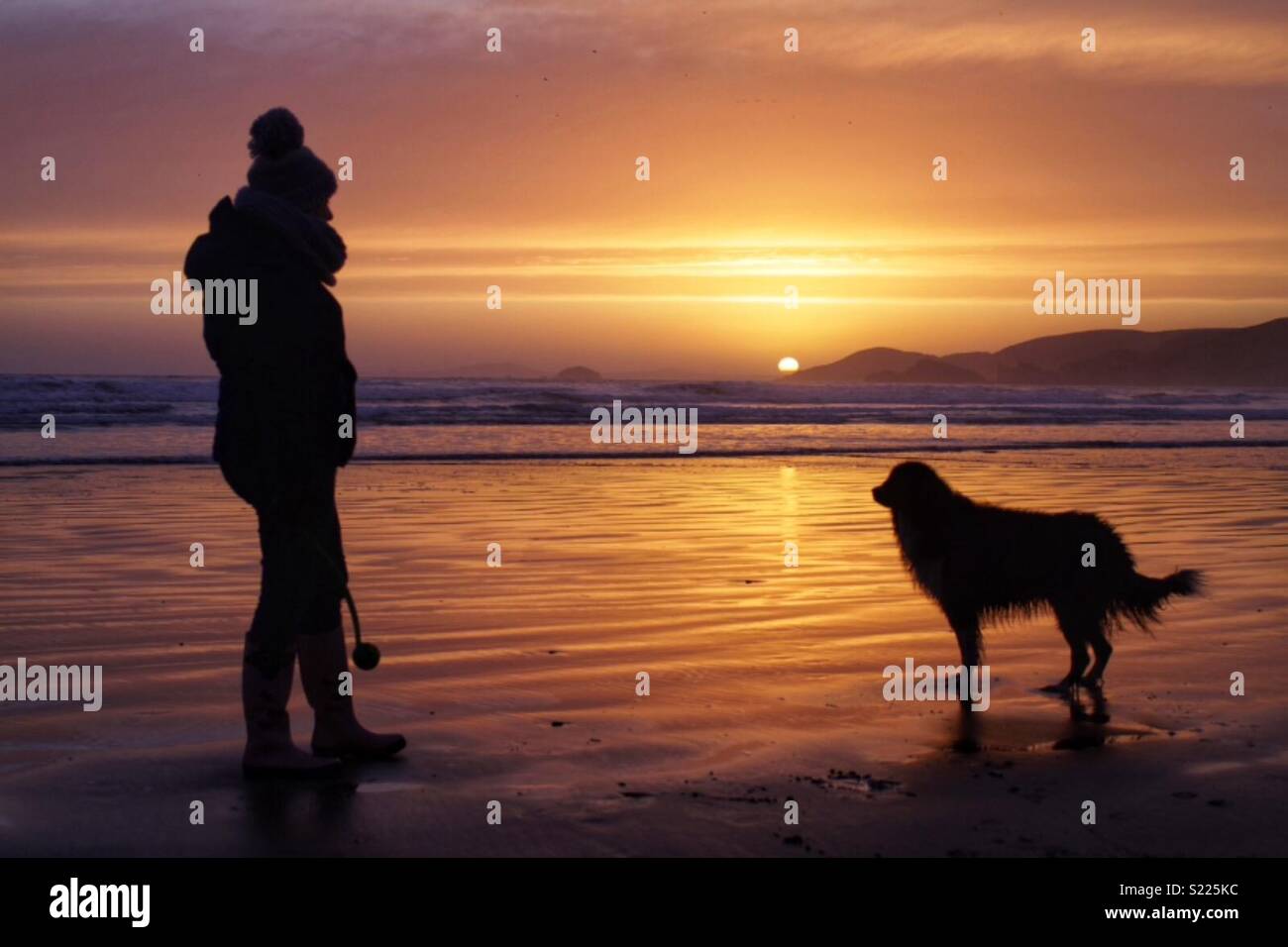 Newgale beach sunset dog walk Stock Photo - Alamy