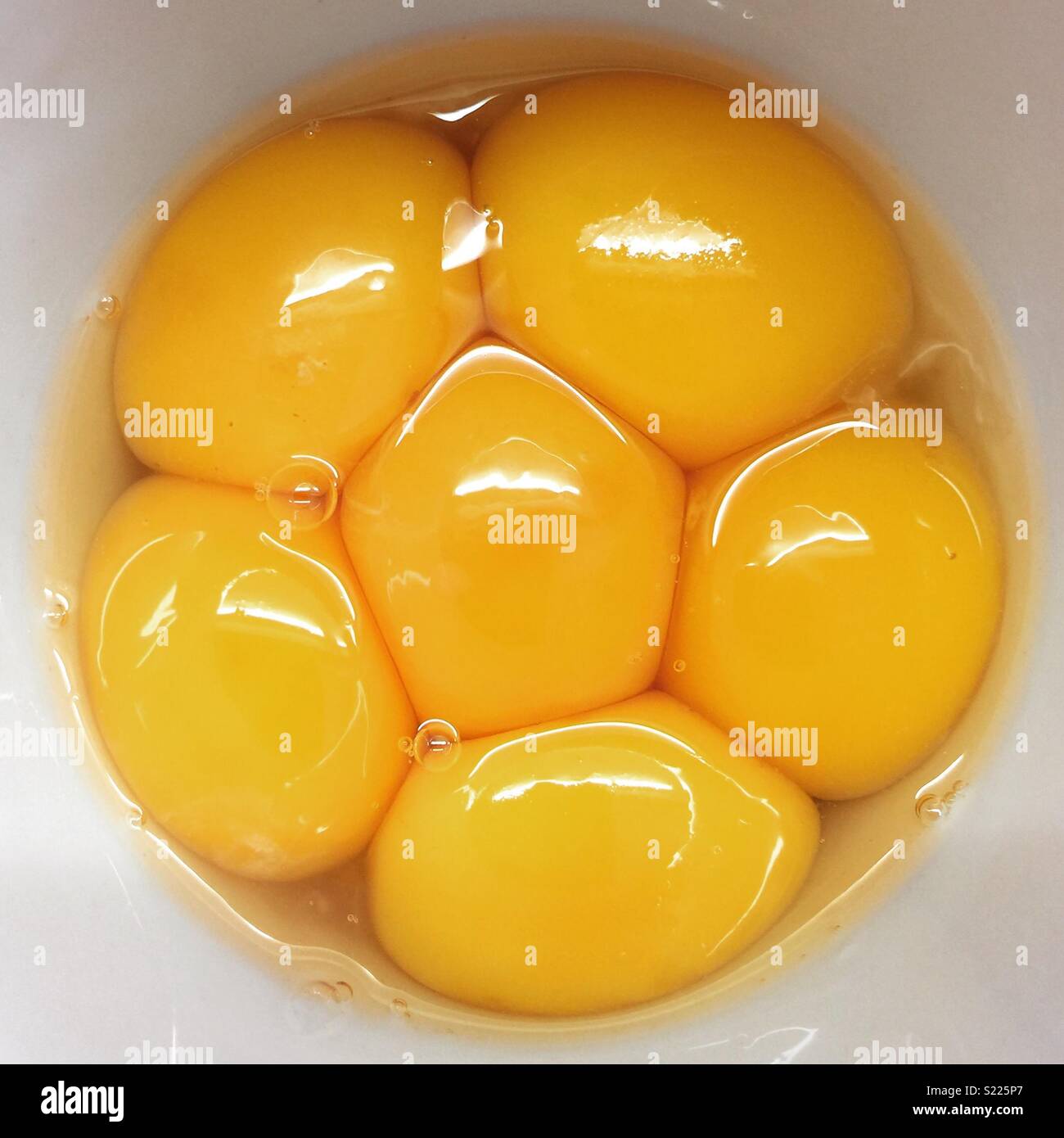 Egg yolk flower Stock Photo - Alamy