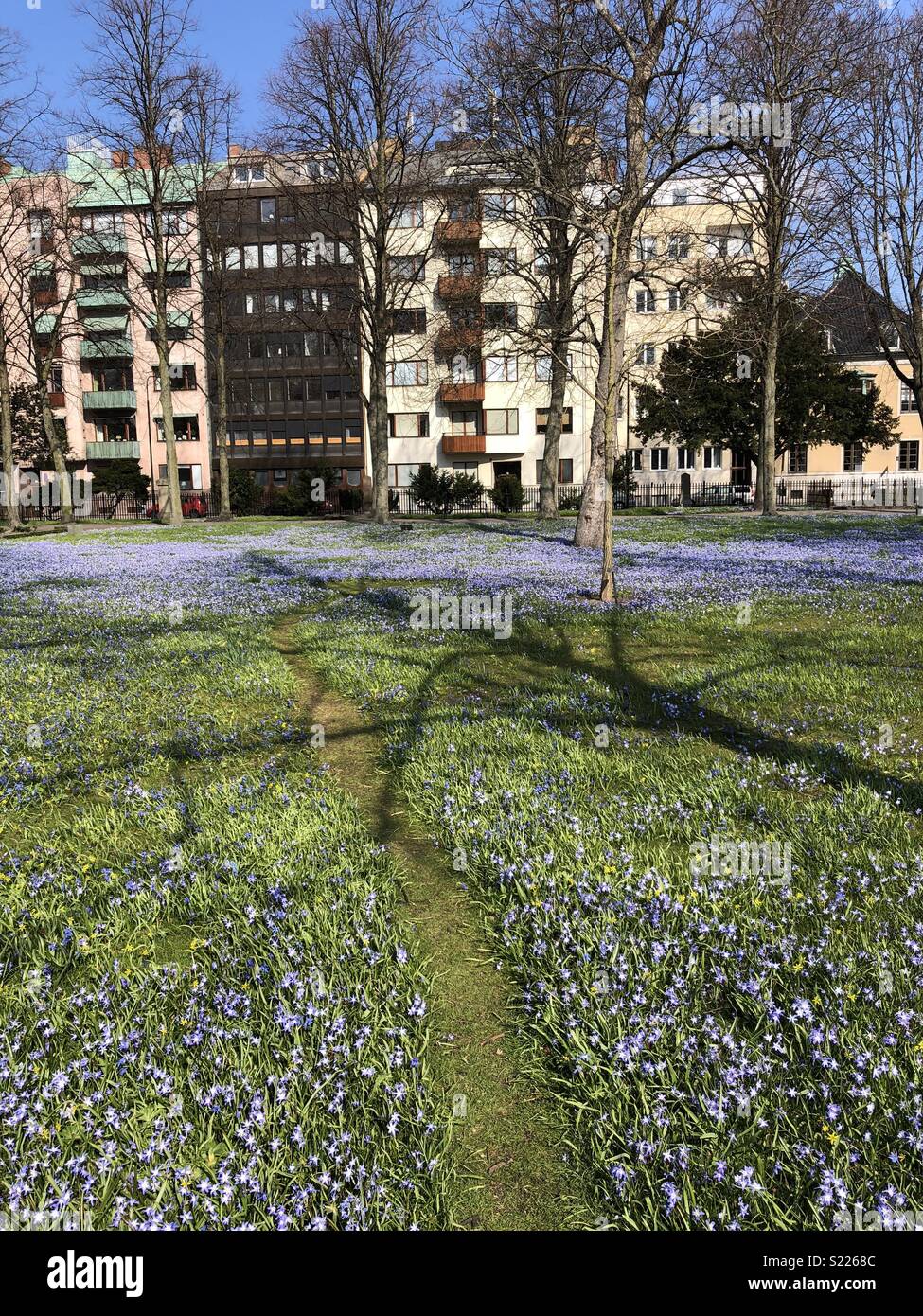 Urban spring flowers hi-res stock photography and images - Alamy