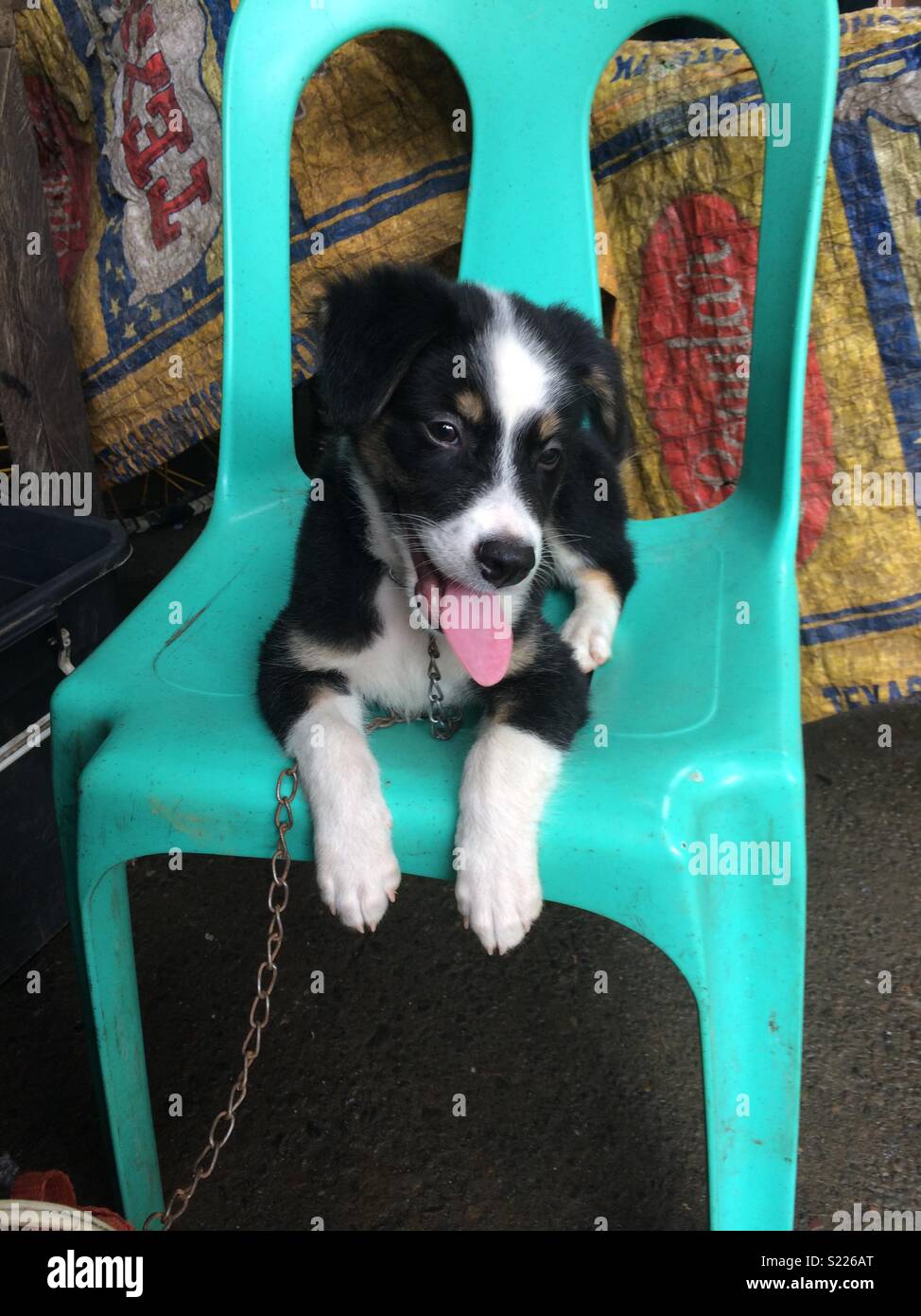 Tired walking hi-res stock photography and images - Alamy