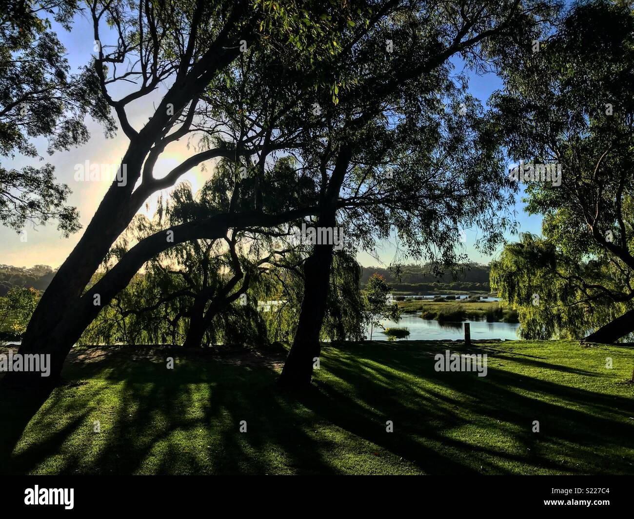 Yanchep national park hi-res stock photography and images - Alamy