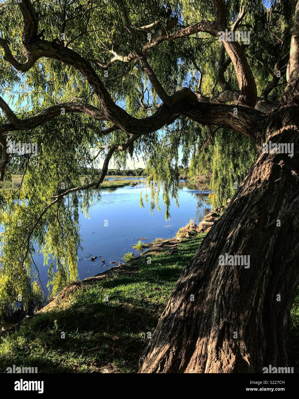 Yanchep national park hi-res stock photography and images - Alamy