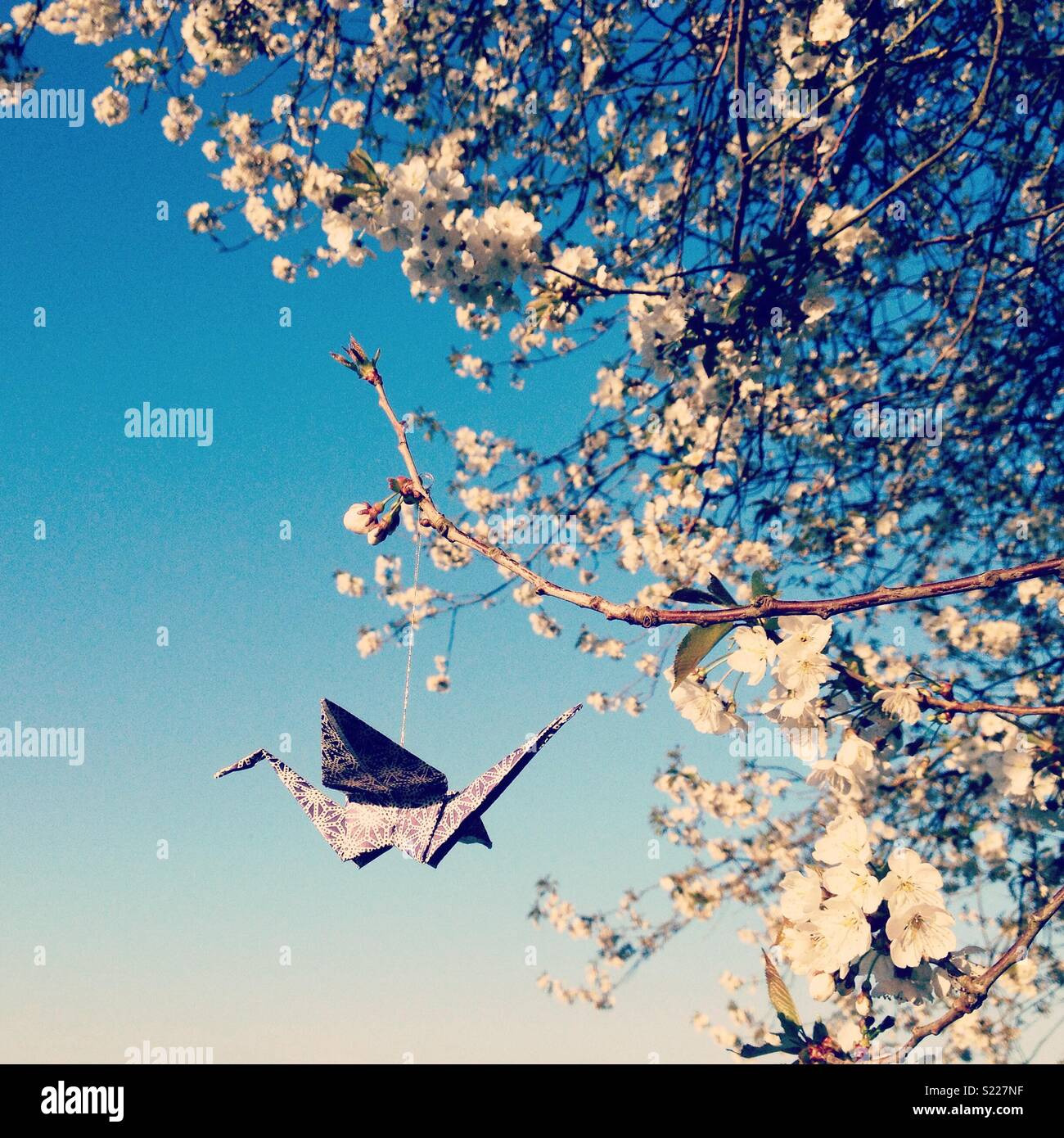 Origami crane hi-res stock photography and images - Alamy