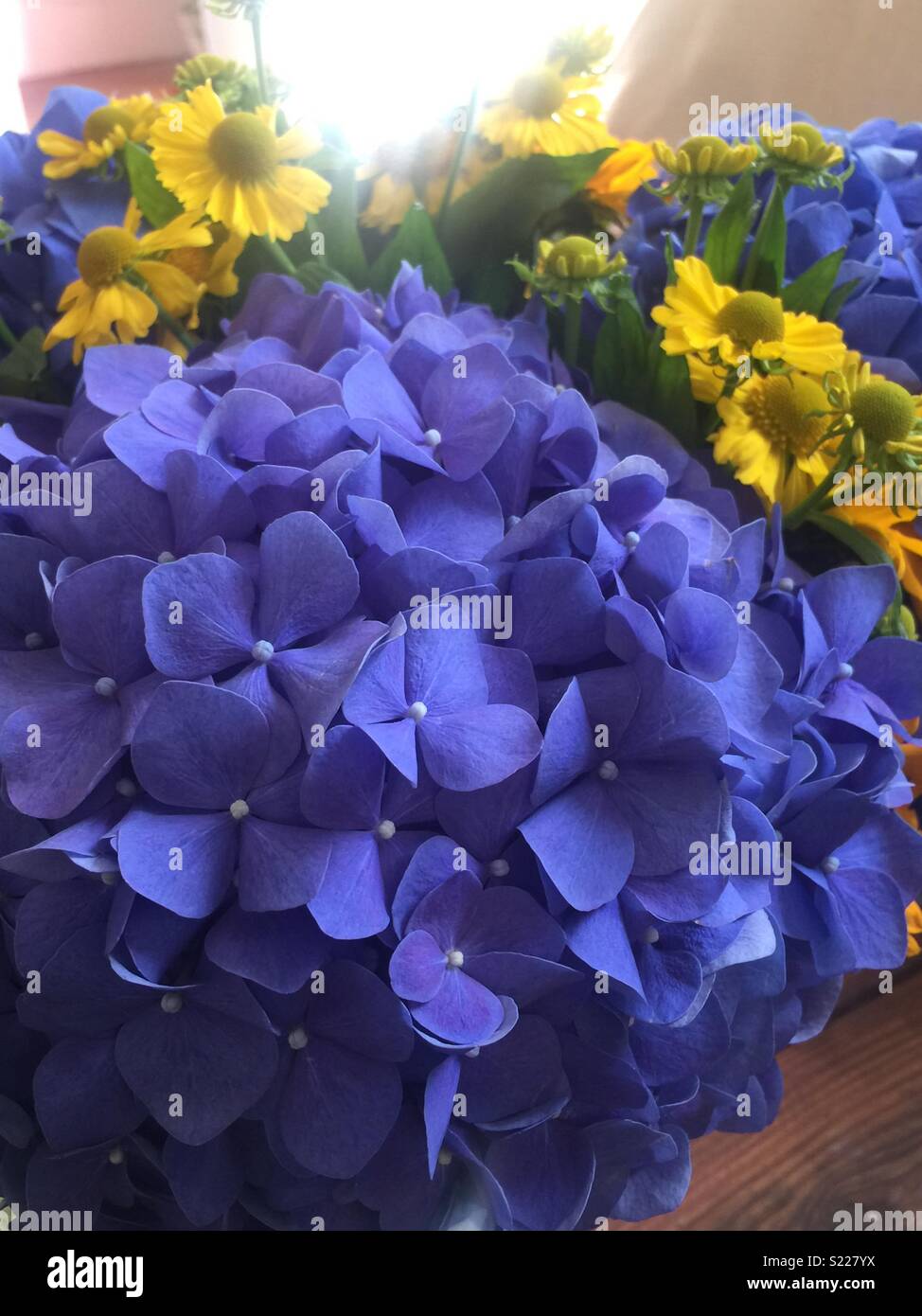 Purple hydrangea bouquet Stock Photo - Alamy