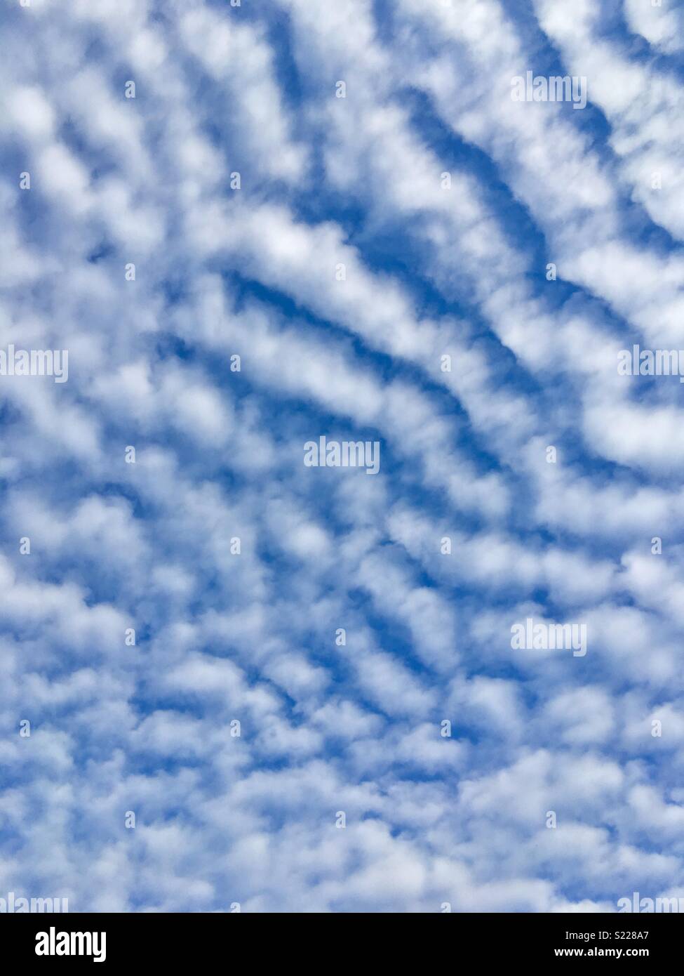 Stripped clouds in the sky Stock Photo - Alamy