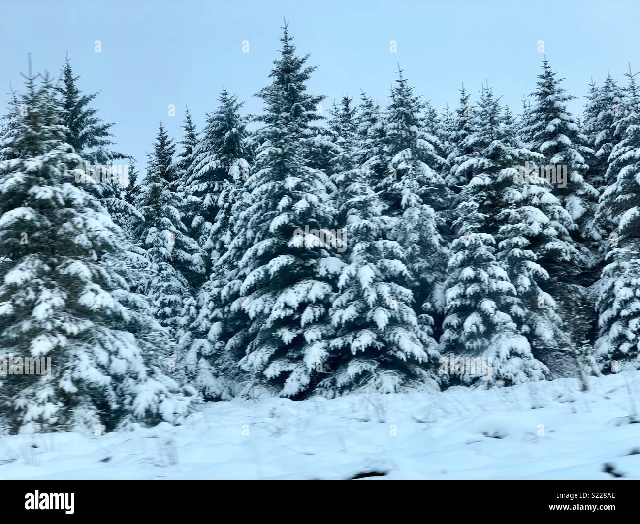 Snow northern ireland hi-res stock photography and images - Alamy
