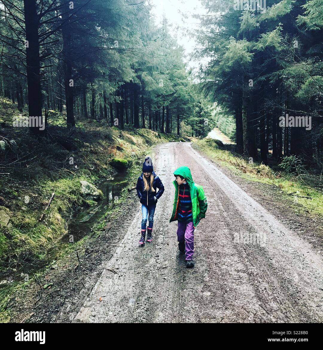 Scottish forests hi-res stock photography and images - Alamy