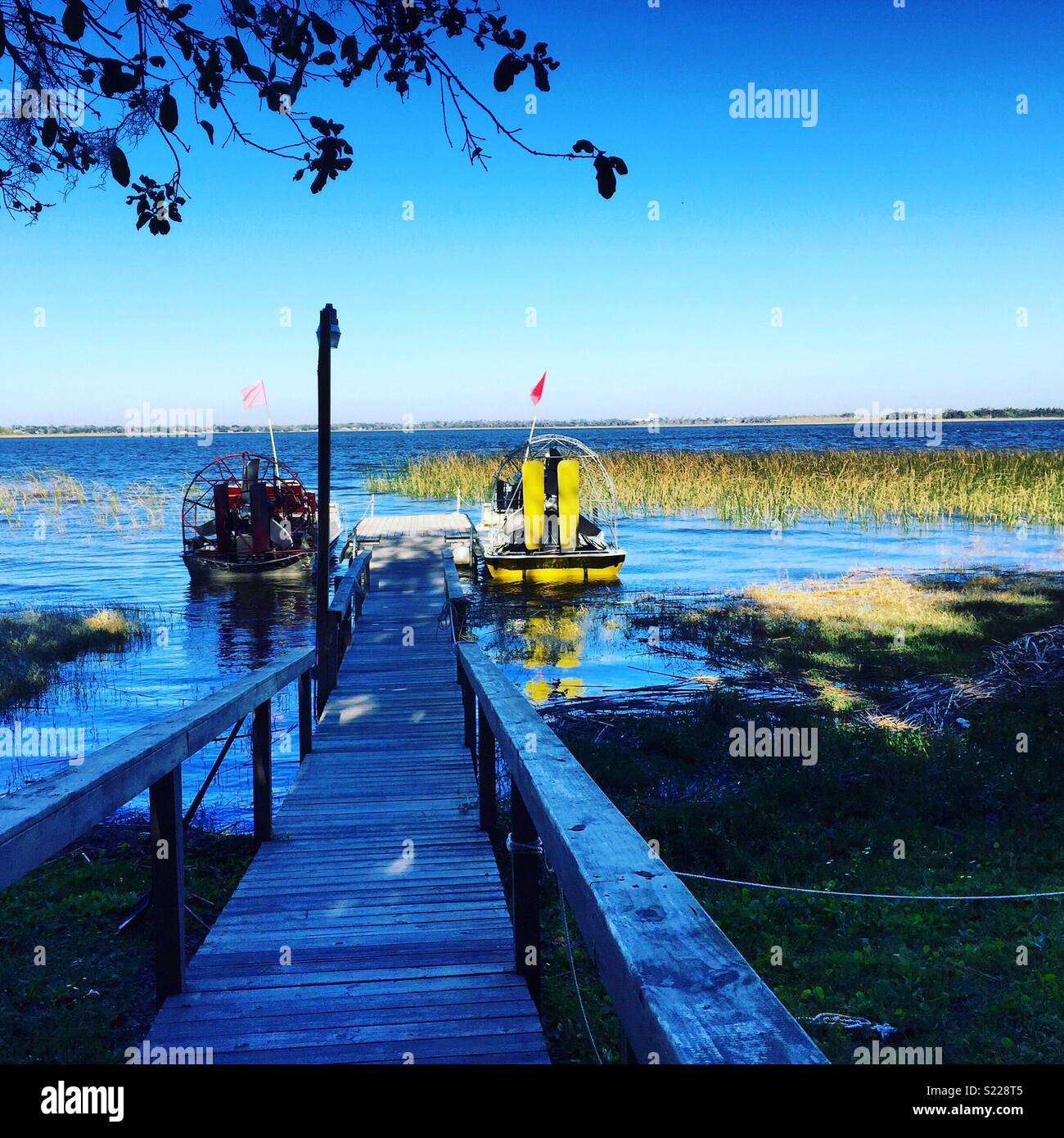 Alligator infested waters hi-res stock photography and images - Alamy