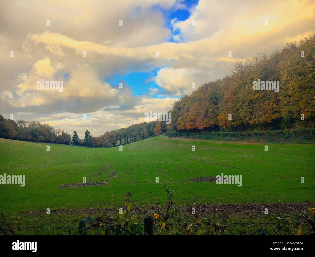 Rolling field, kent Stock Photo - Alamy