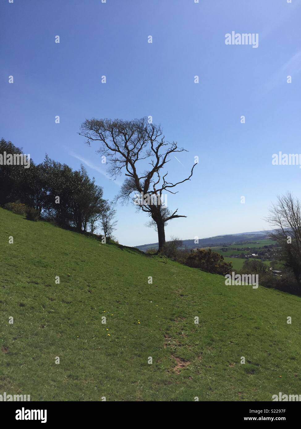 Upcott hi-res stock photography and images - Alamy