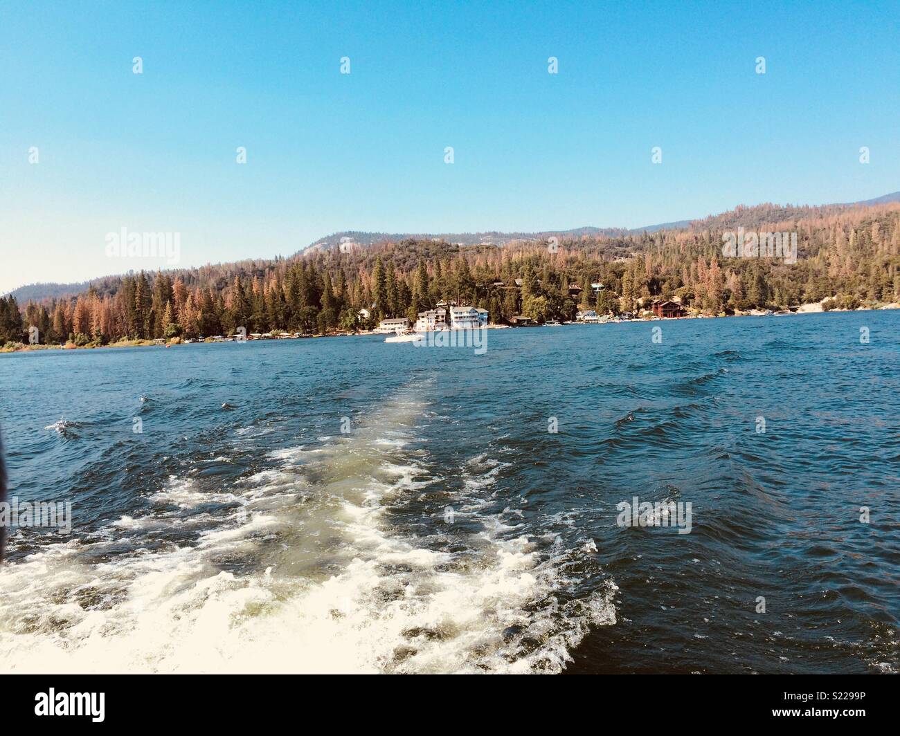 Usa madera hi-res stock photography and images - Alamy
