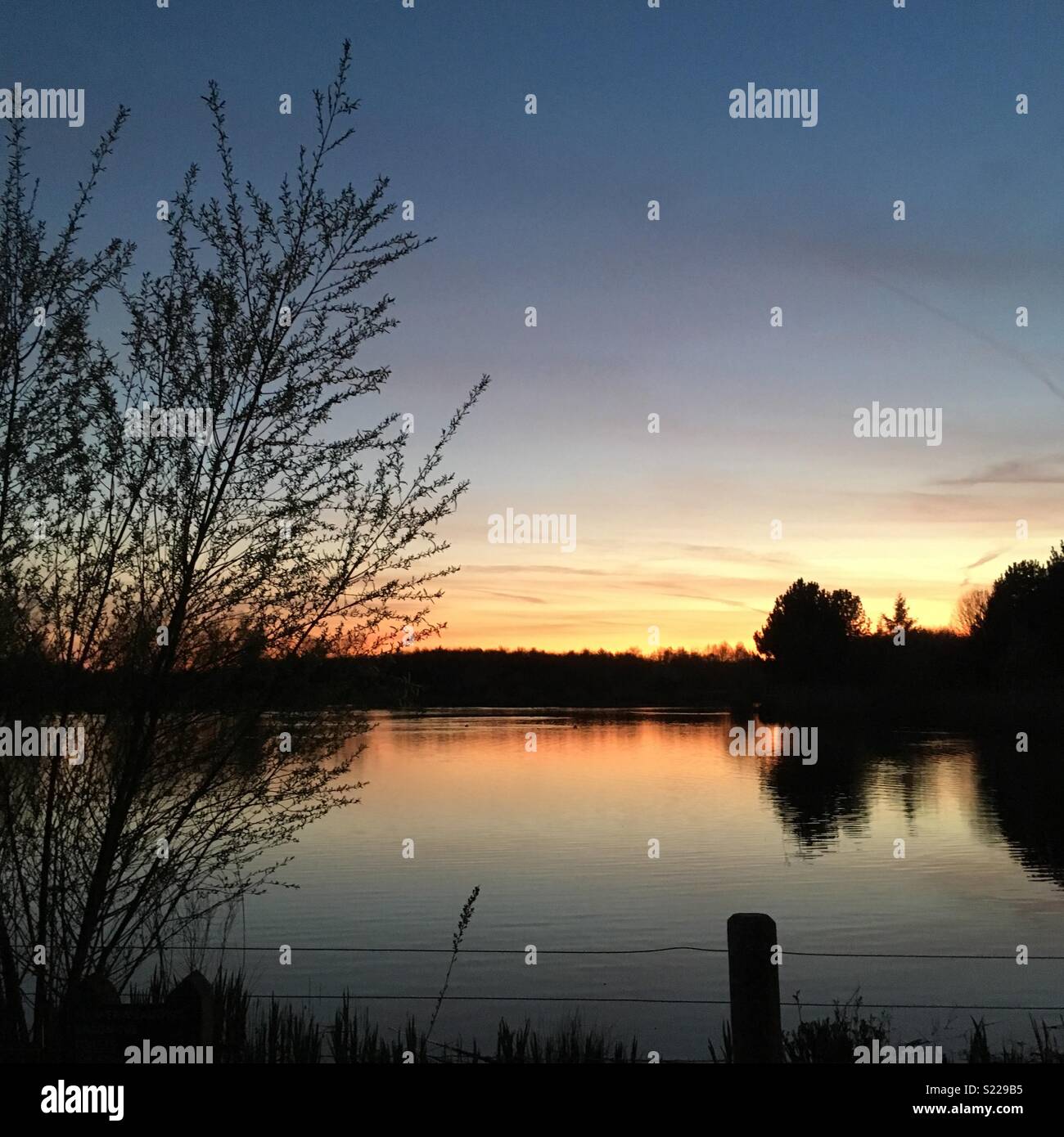 The sun and the dusk trees with beautiful scenery hi-res stock ...