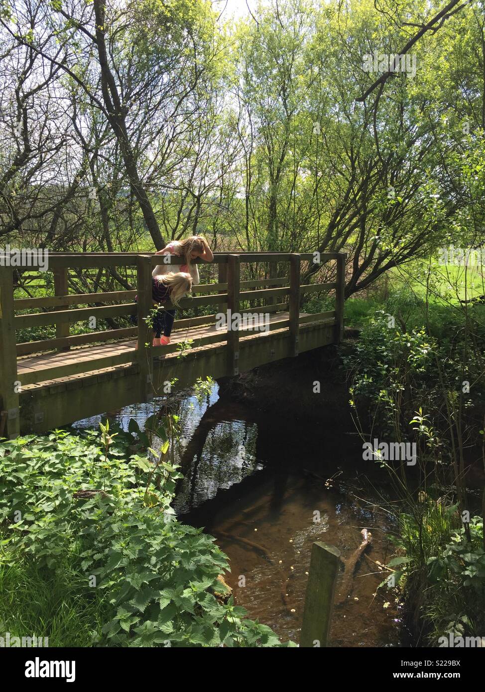 The pooh sticks hi-res stock photography and images - Alamy