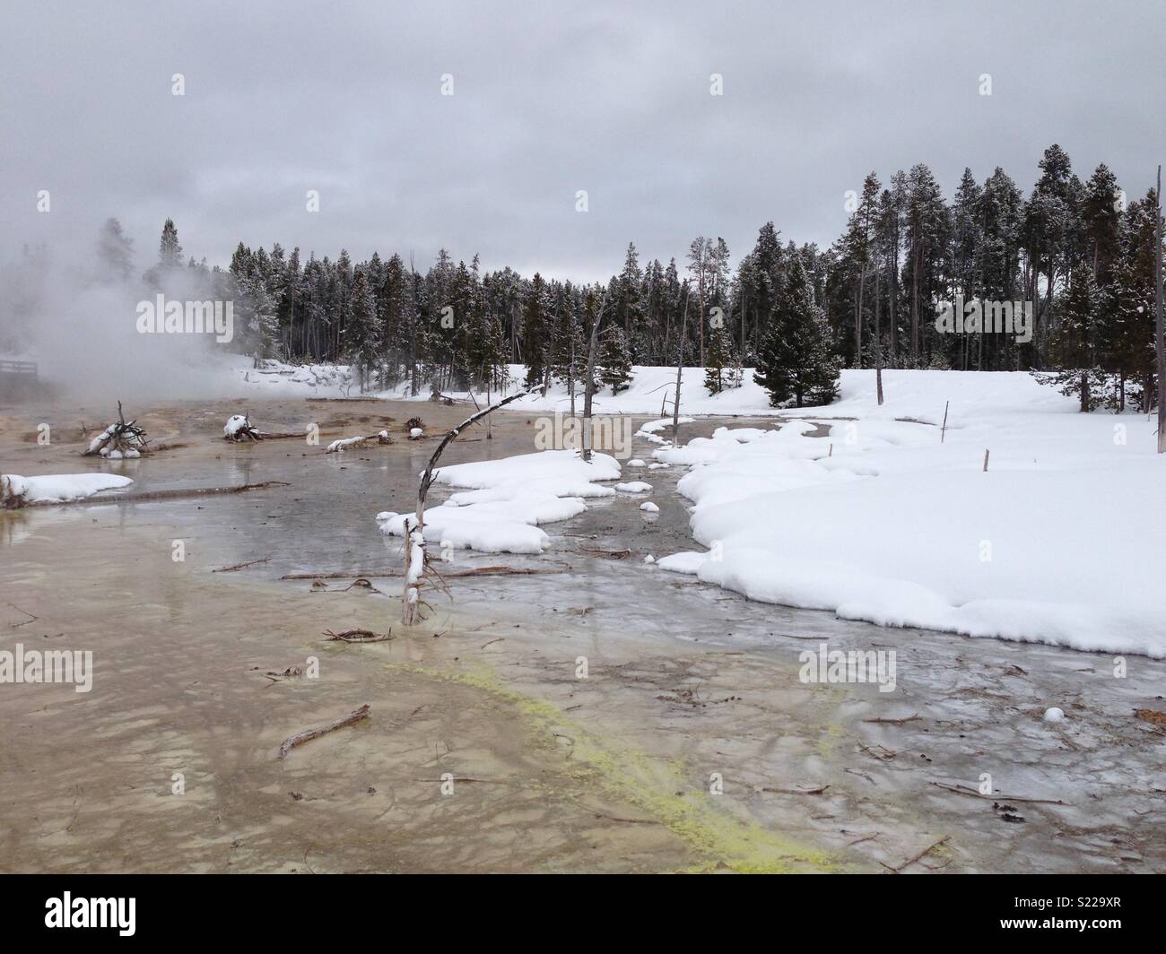 Yellowstone pond hi-res stock photography and images - Alamy