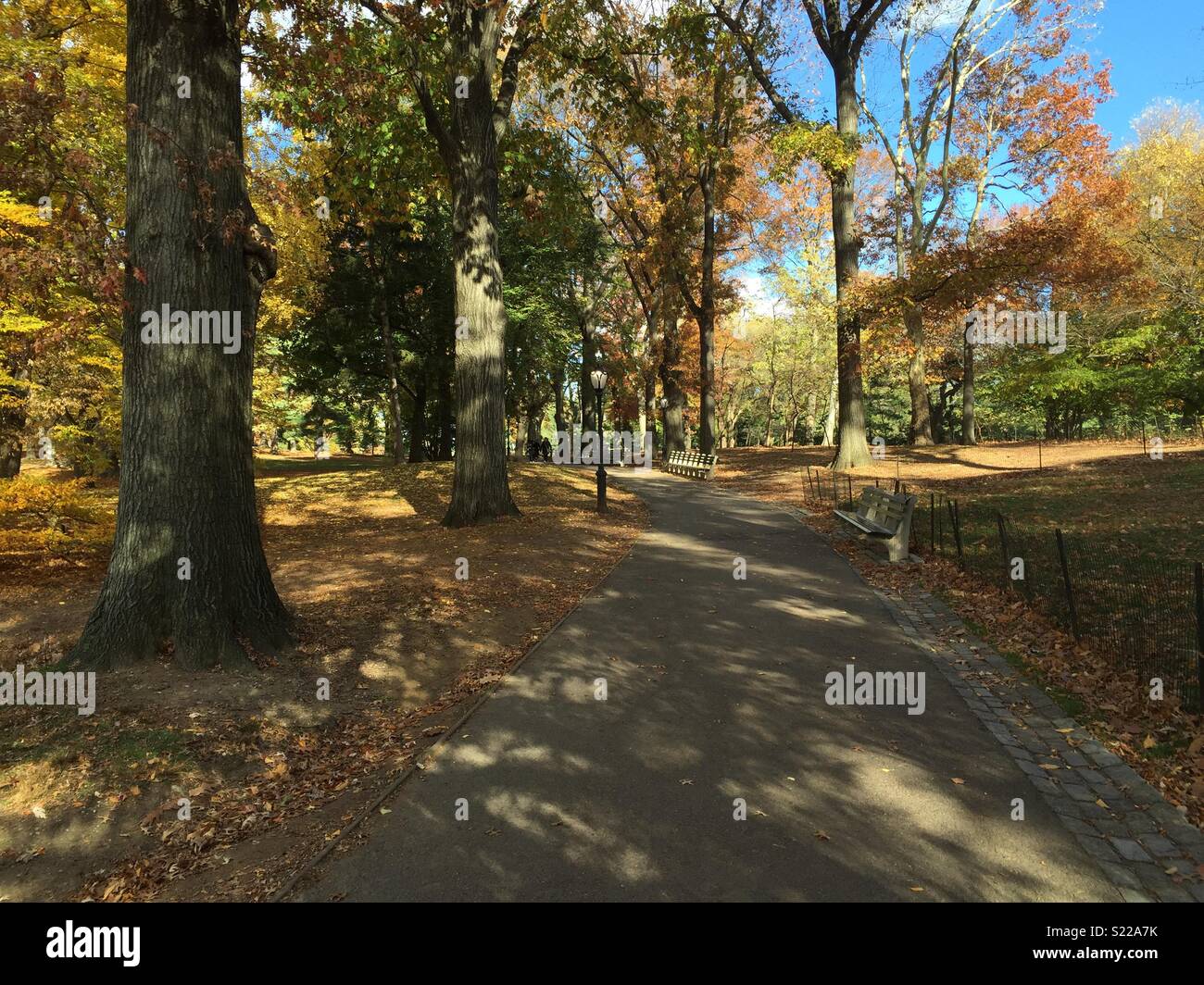 Central Park Path Stock Photo - Alamy